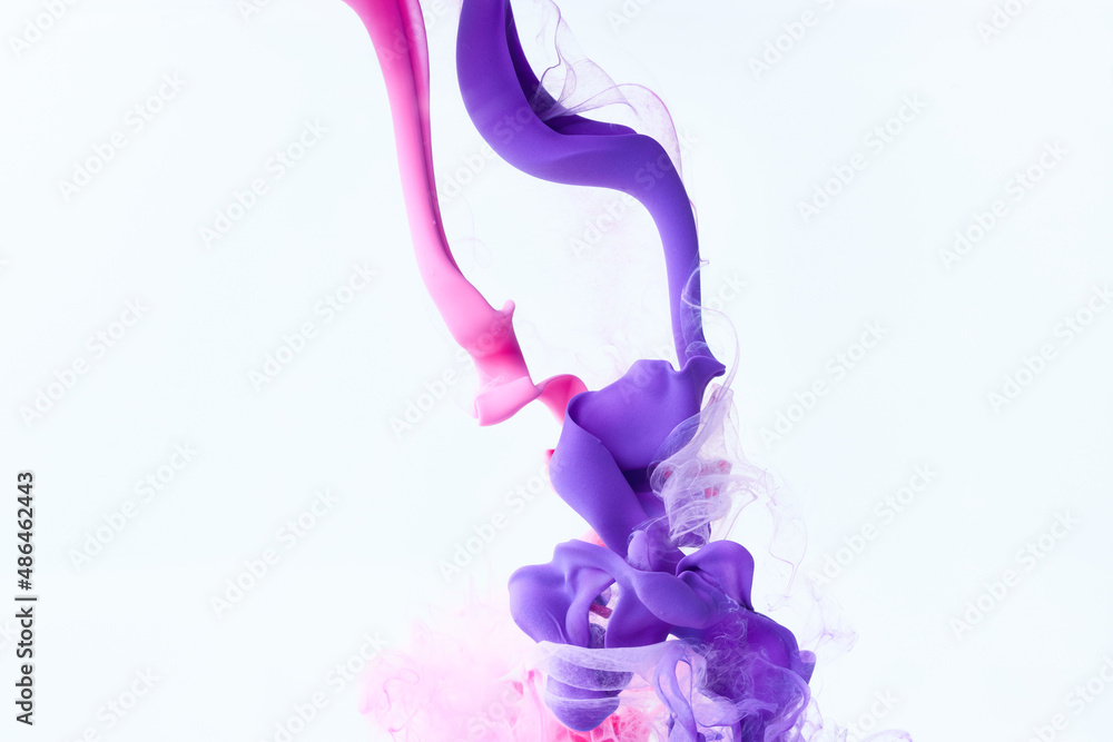 Purple and pink paints splash curves in water on white. Acrylic paint ...