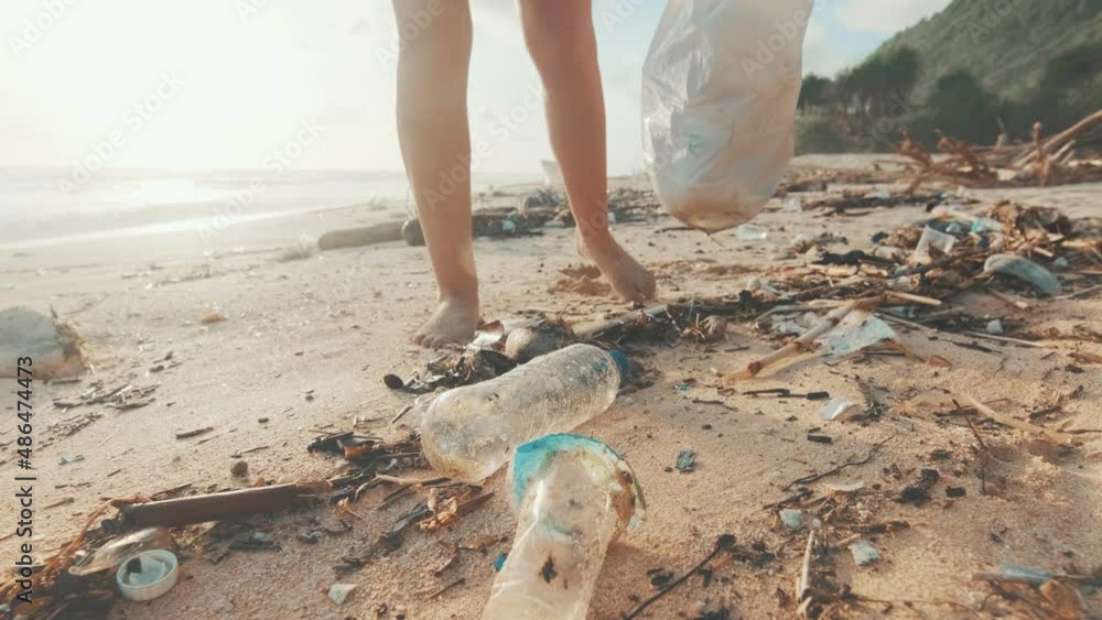 Barefoot volunteer collects plastic garbage in bag and cleans beach ...