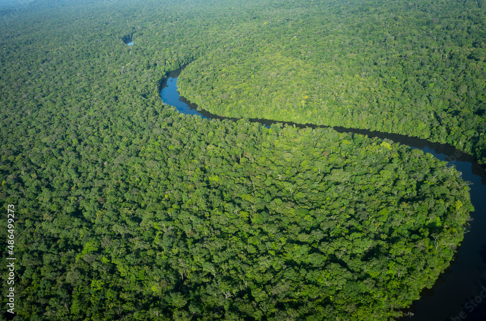 Foto de Une vue aérienne de l'amazonie do Stock | Adobe Stock