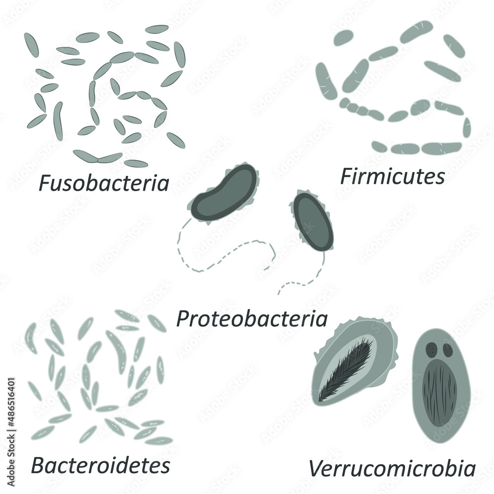 Set of different types of bacterias of human microbiome, black and ...