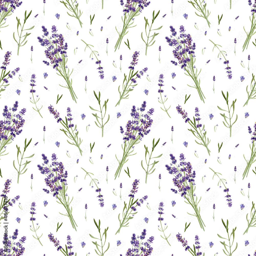 Lavender flower seamless pattern isolated on white background ...