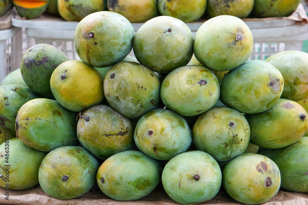 Mangifera indica, commonly known as mango is a species of flowering ...