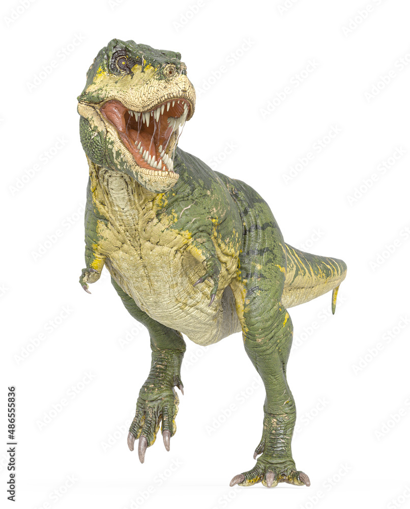 tyrannosaurus rex is standing up in white background Stock Illustration ...