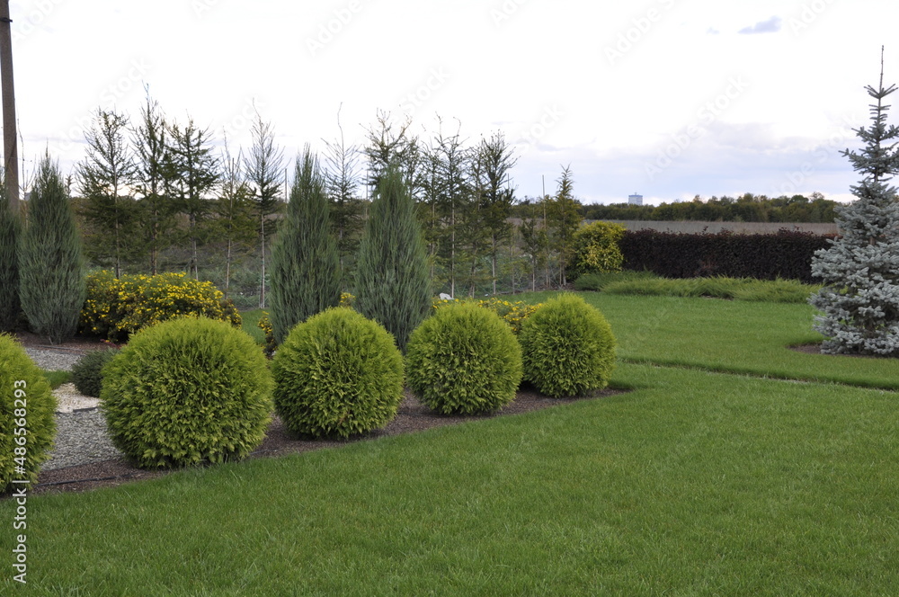 Landscaping of a garden plot. Flowers and plants in landscape design ...