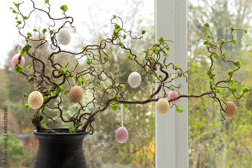 Ostereier, Ostern, Osterzweig Stock Photo | Adobe Stock