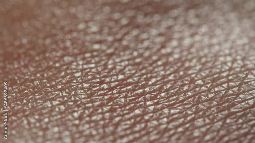 Hand skin texture close-up. Arm surface macro shooting. Body and ...
