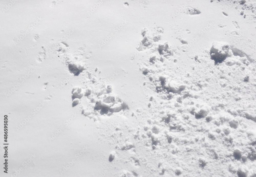 Snow texture Stock Photo | Adobe Stock
