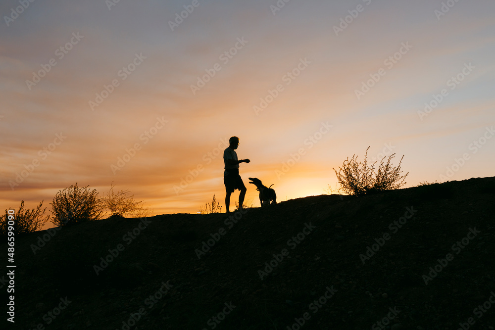 Silhouette of man and dog at sunset Stock Photo | Adobe Stock