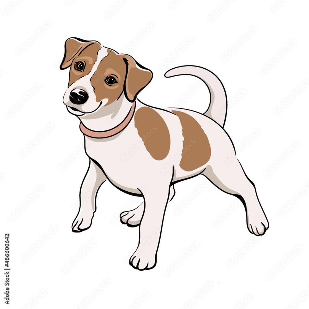 Jack Russell Terrier. Vector Illustration of a dog Stock Vector | Adobe ...