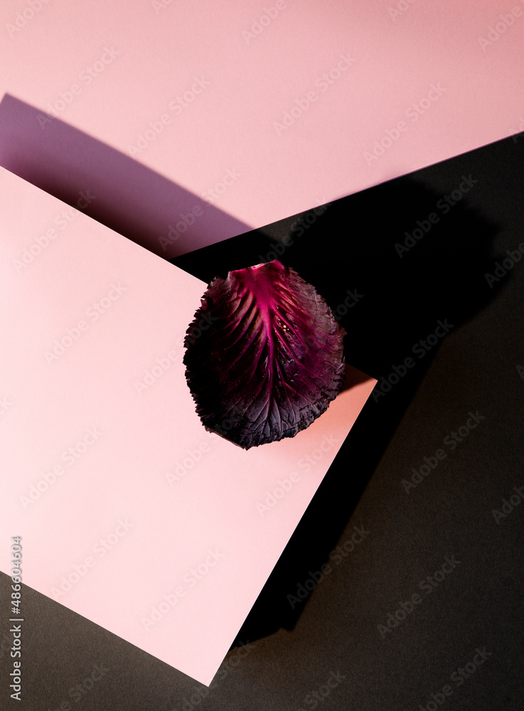 Abstract food concept still life photography Stock Photo | Adobe Stock