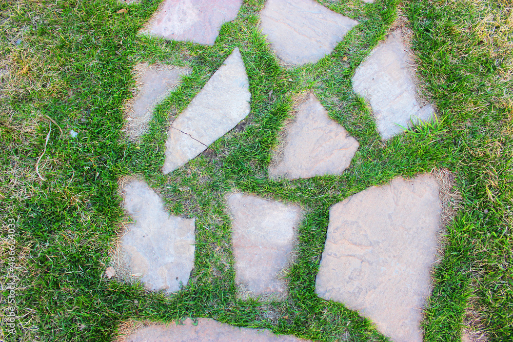Gray paving slabs, paved path, among greenery in a shady park. Shallow ...