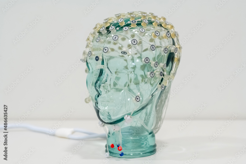 Wet EEG cap over glass head of mannequin Stock Photo | Adobe Stock