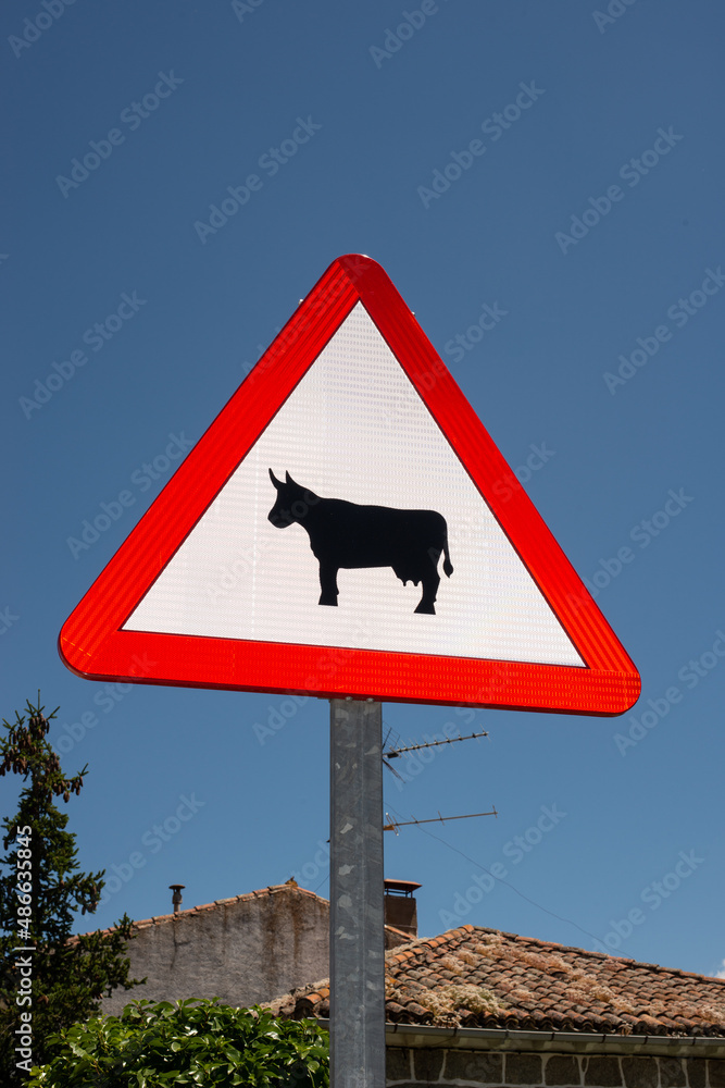 Cattle crossing traffic sign Stock Photo | Adobe Stock