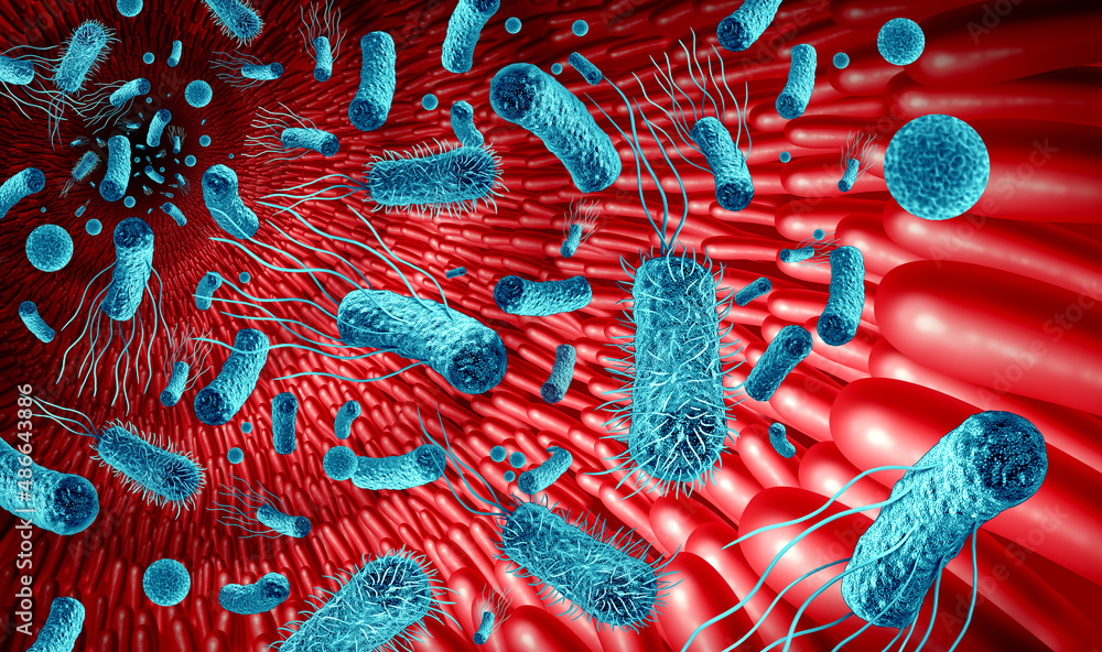 Microbiome in the gut concept as bacteria flora inside an intestine as ...