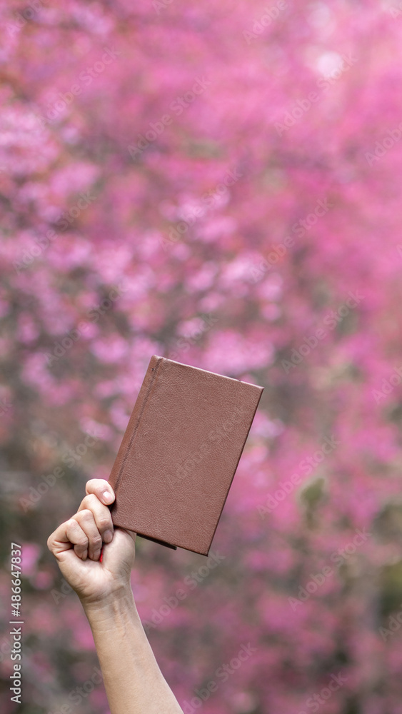 young man holds up an open Bible above his head against blurry ...
