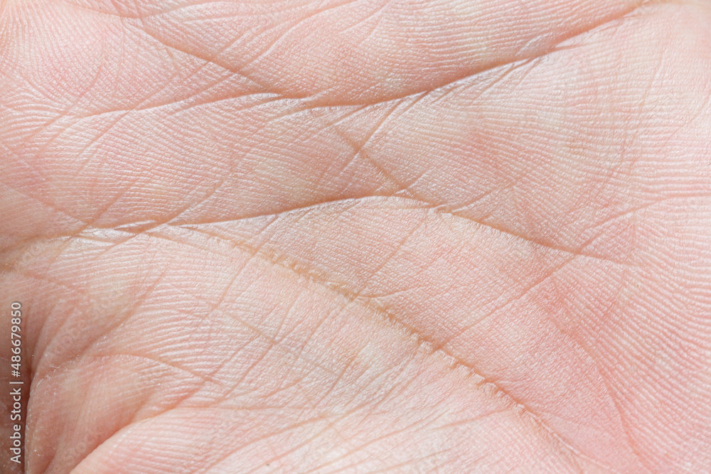 macro human hand,Macro image of the surface texture of the human palm ...