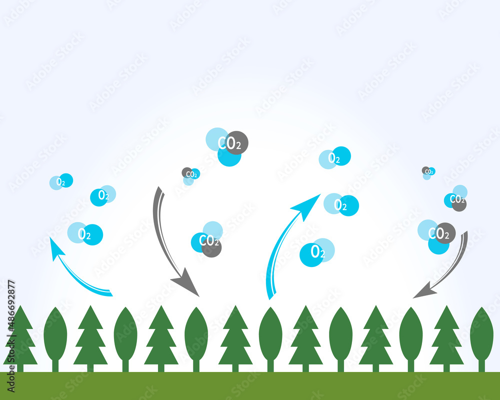 Vecteur Stock Illustration of a tree releasing oxygen and absorbing ...