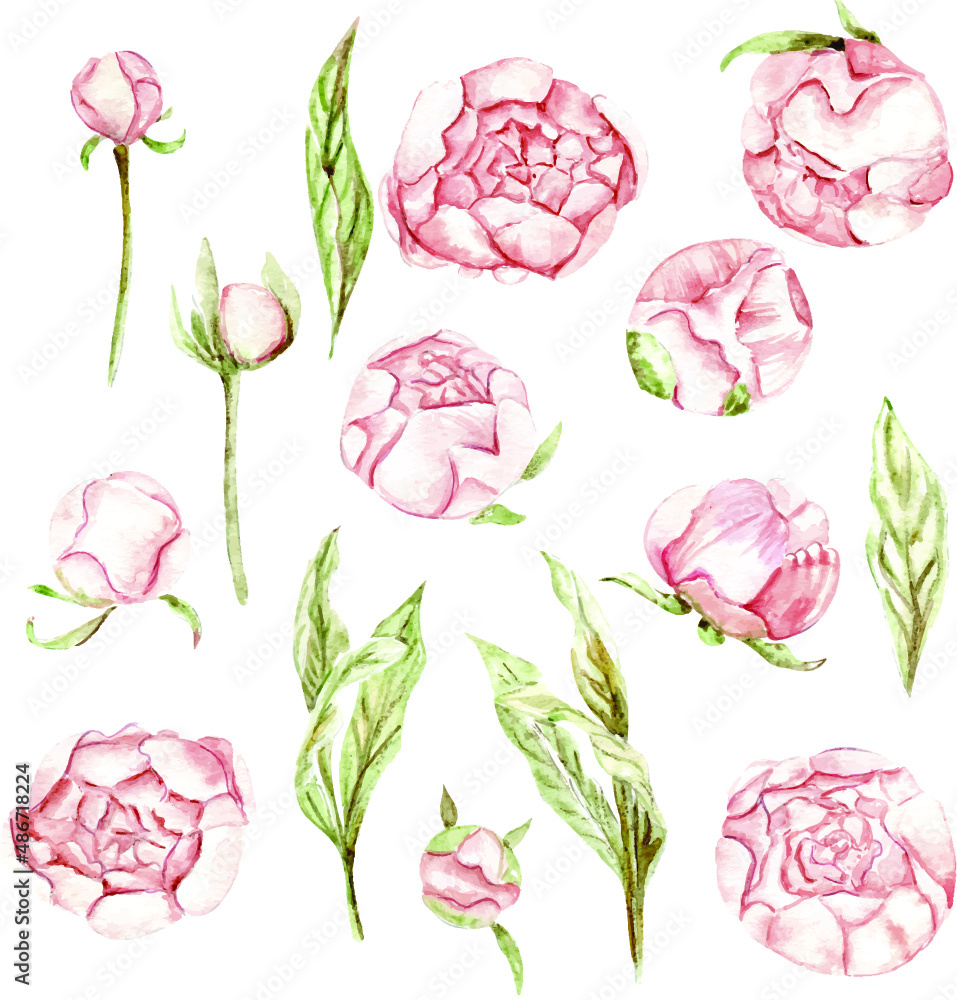 Watercolor pink roses clipart Spring set Roses and leaves Stock Vector ...