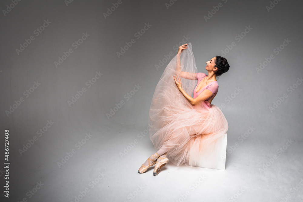 pretty ballerina. A young elegant ballet dancer, dressed in ...