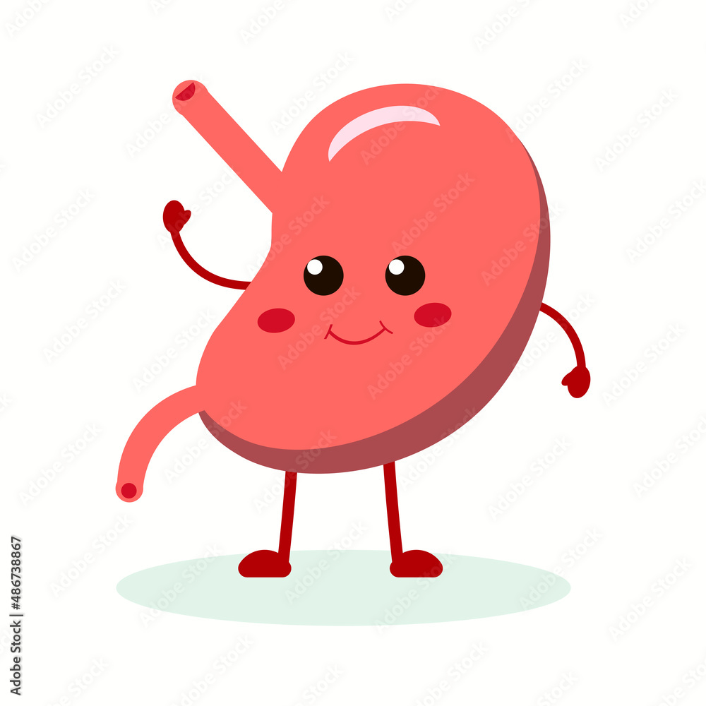 Strong healthy happy stomach.Vector cartoon illustration icon design ...