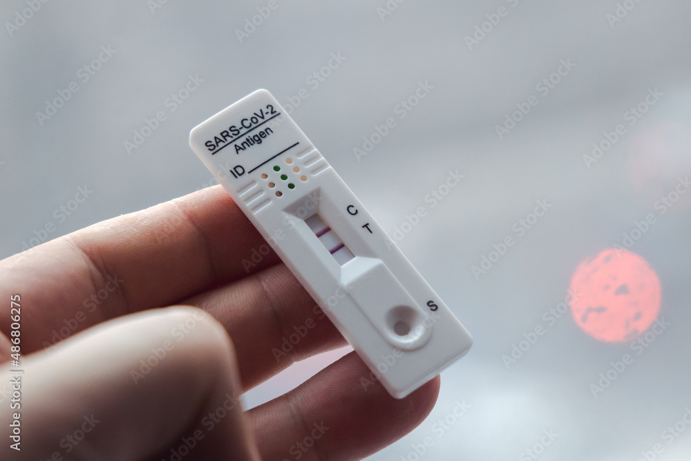 Man holds a antigen rapid test with positive result means a presence of ...