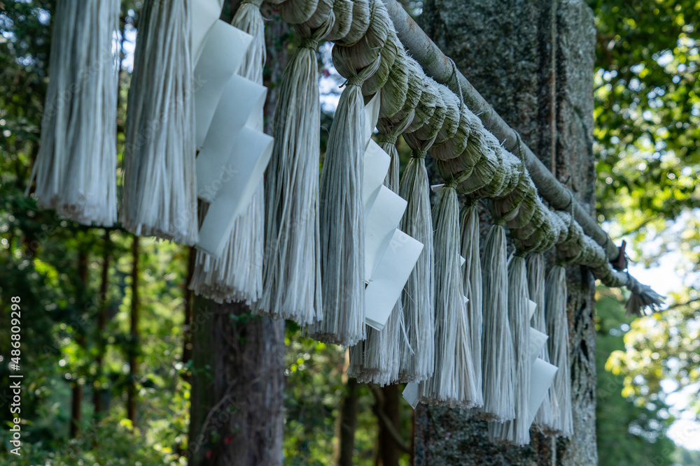 Shinto straw festoon - shimenawa - and zigzag-shaped paper streamer ...