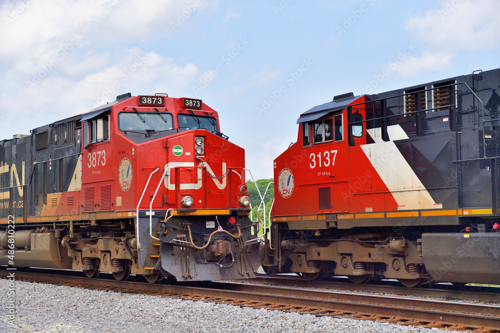 Locomotives from two Canadian National Railway intermodal freight ...