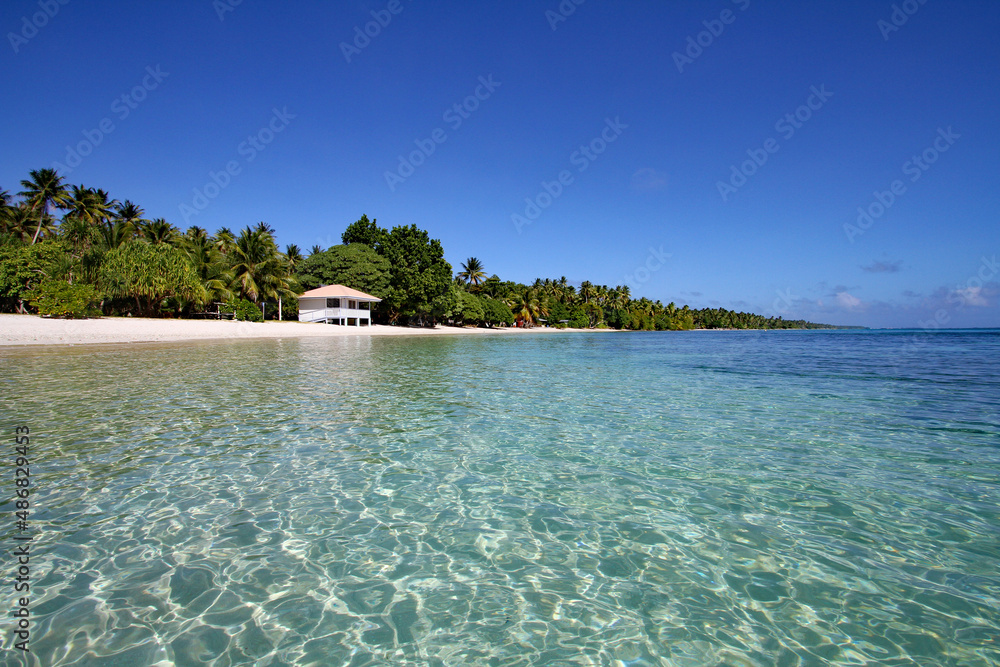 beach with a hut in Eneko Island Marshall Islands Stock Photo | Adobe Stock