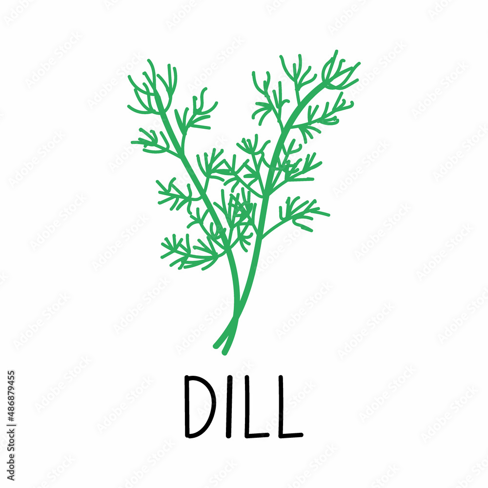 Dill, hand drawn element in doodle style. Logo and emblem packaging ...