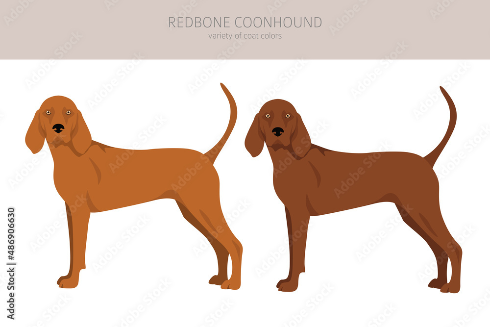 Redbone Coonhound Coloring Pages