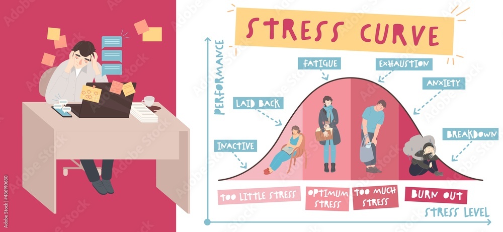 Stress curve. Medical infographic. Editable vector illustration Stock ...