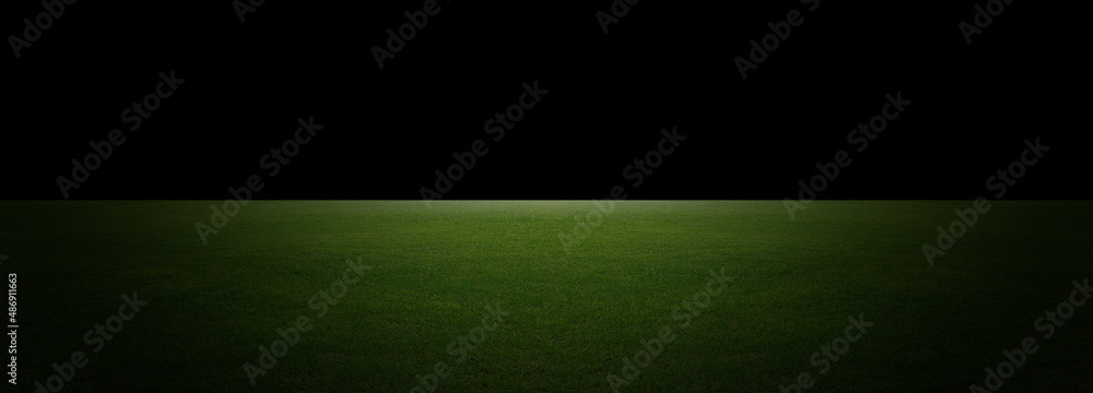 Green grass field and Empty dark landscape background for display ...