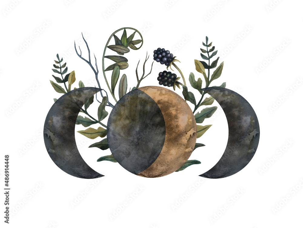 Watercolor fantasy illustration. Phases of the moon, fern leaves ...