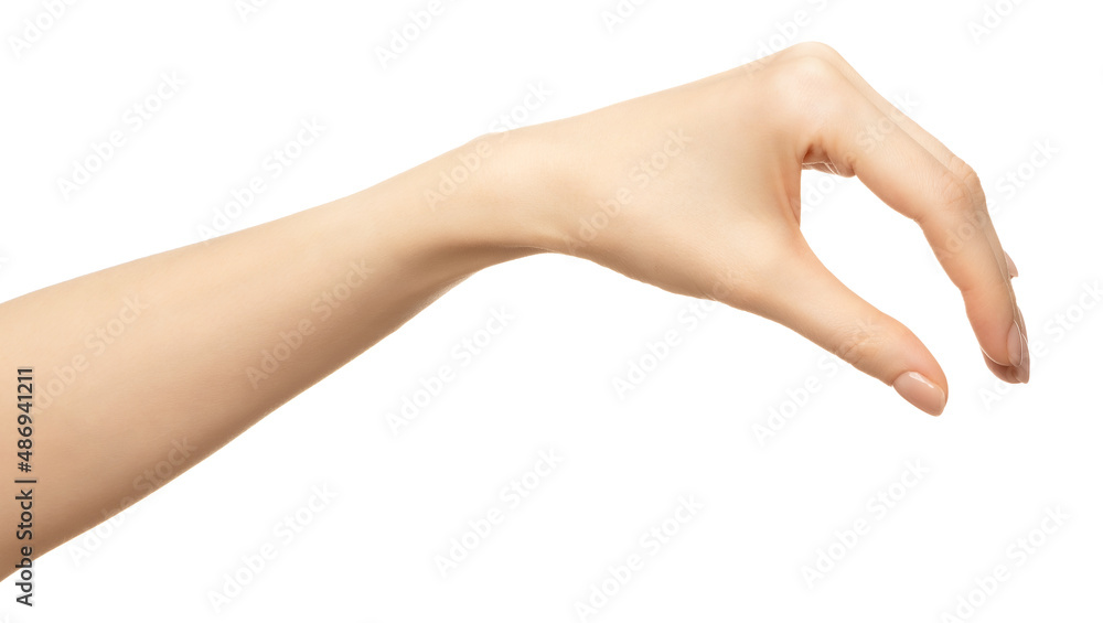 Female hand holding invisible object isolated on white background Stock ...