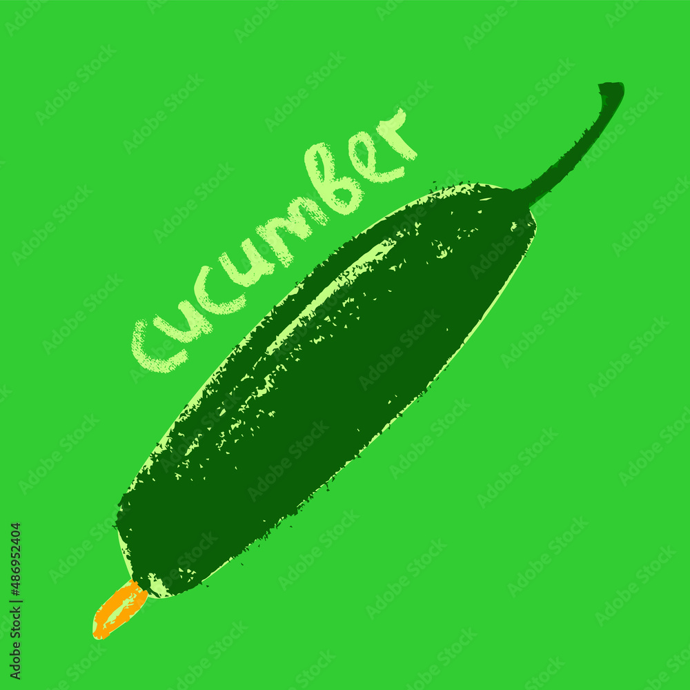 Vector cucumber icon isolated. Hand drawn cuke drawing, corm ...