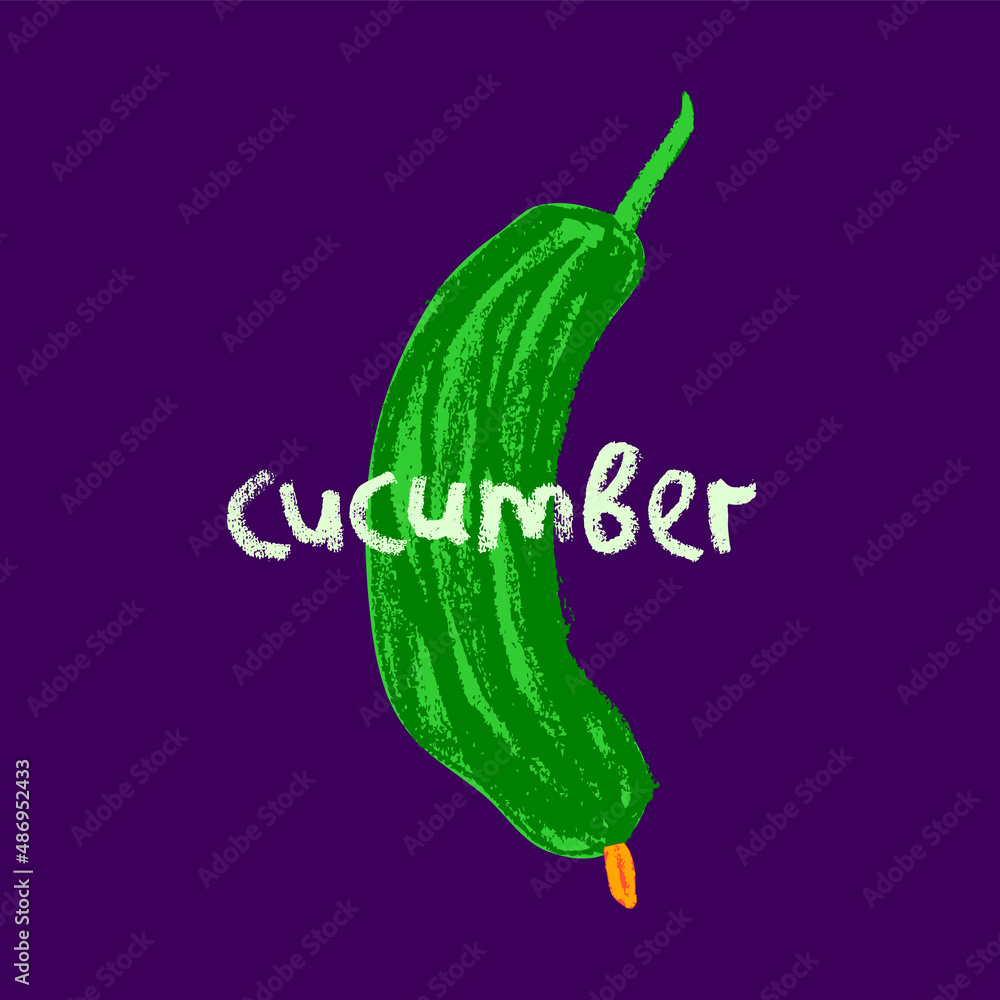 Vector cucumber icon isolated. Hand drawn cuke drawing, corm ...