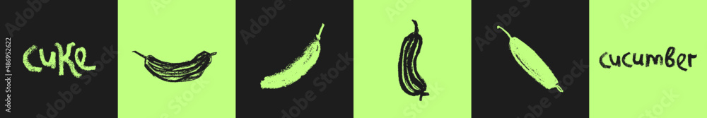 Vector cucumber icon isolated. Hand drawn cuke drawing, corm ...