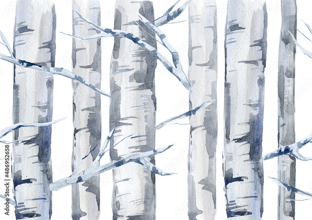 Seamless border of a birch tree.Deciduous tree.Watercolor hand drawn ...