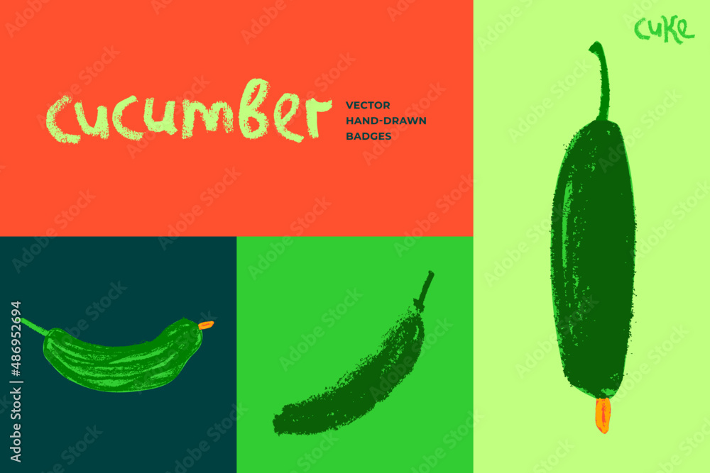 Vector cucumber icon isolated. Hand drawn cuke drawing, corm ...