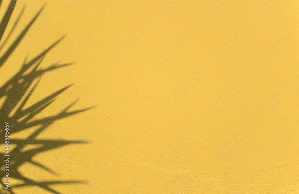 Natural shadow botanical plant overlay on cement wall abstract texture ...