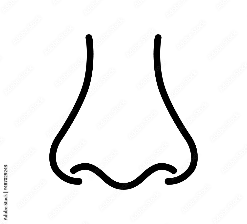 Nose icon. Nose front view. Human organ of smell icon. Vector ...