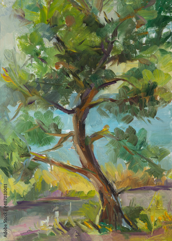 Tree oil painting. Sketch of a pine tree in close-up from nature ...