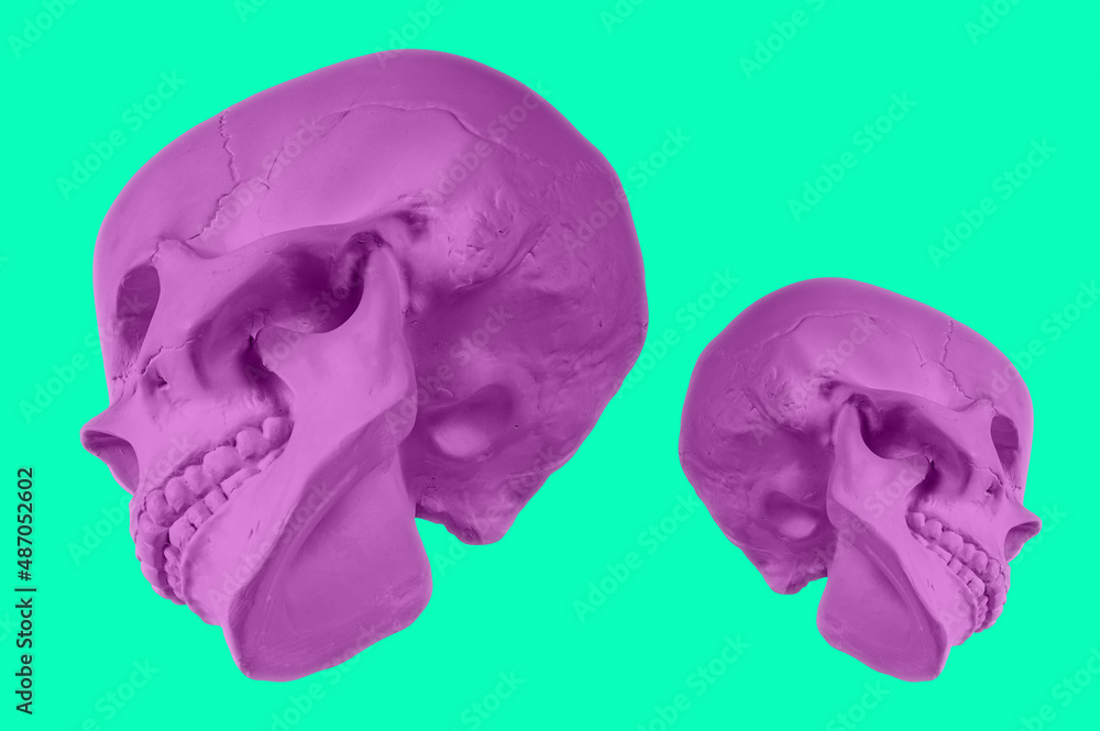 Purple gypsum human skull on isolated green background with clipping ...