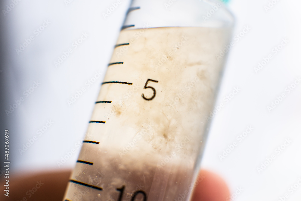 Liquid culture of mycelium. Psilocybe cubensis. Psilocybin mushroom ...