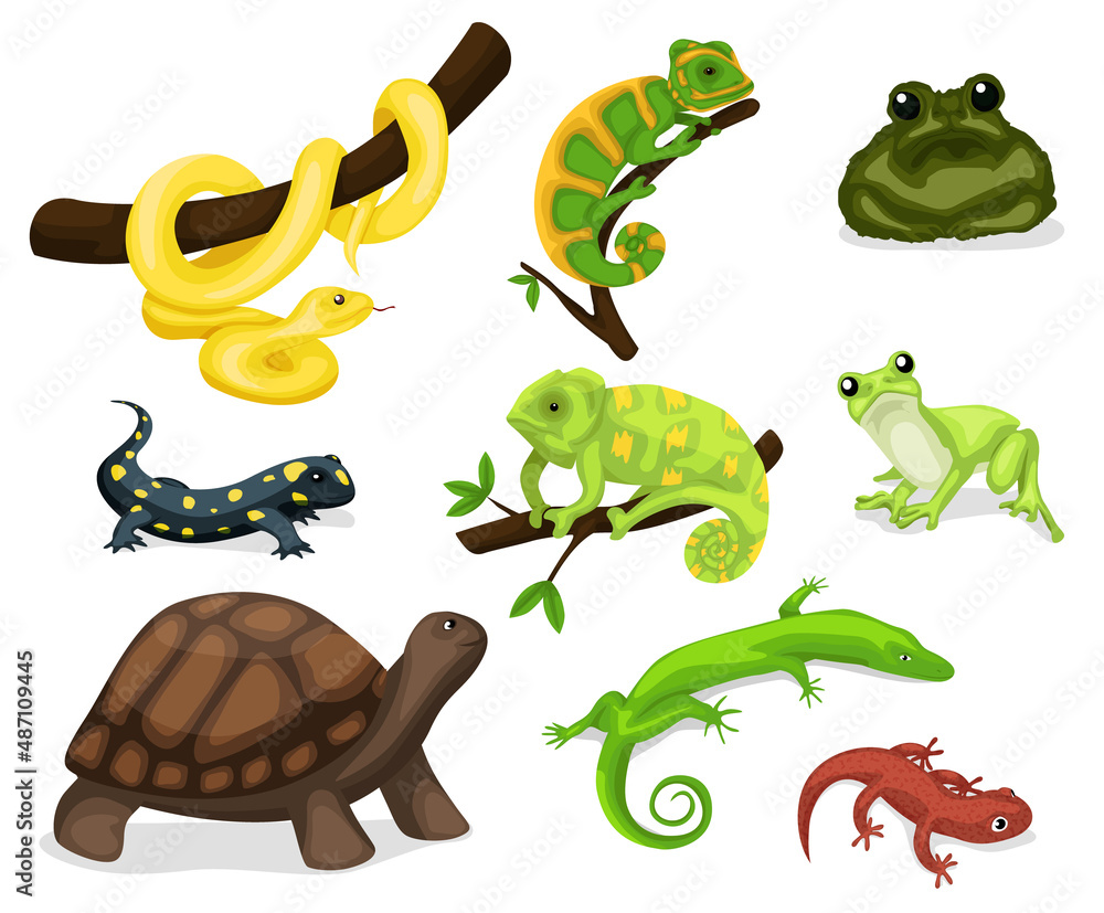 Reptile vector animal reptilian character. Serpent, reptile and ...