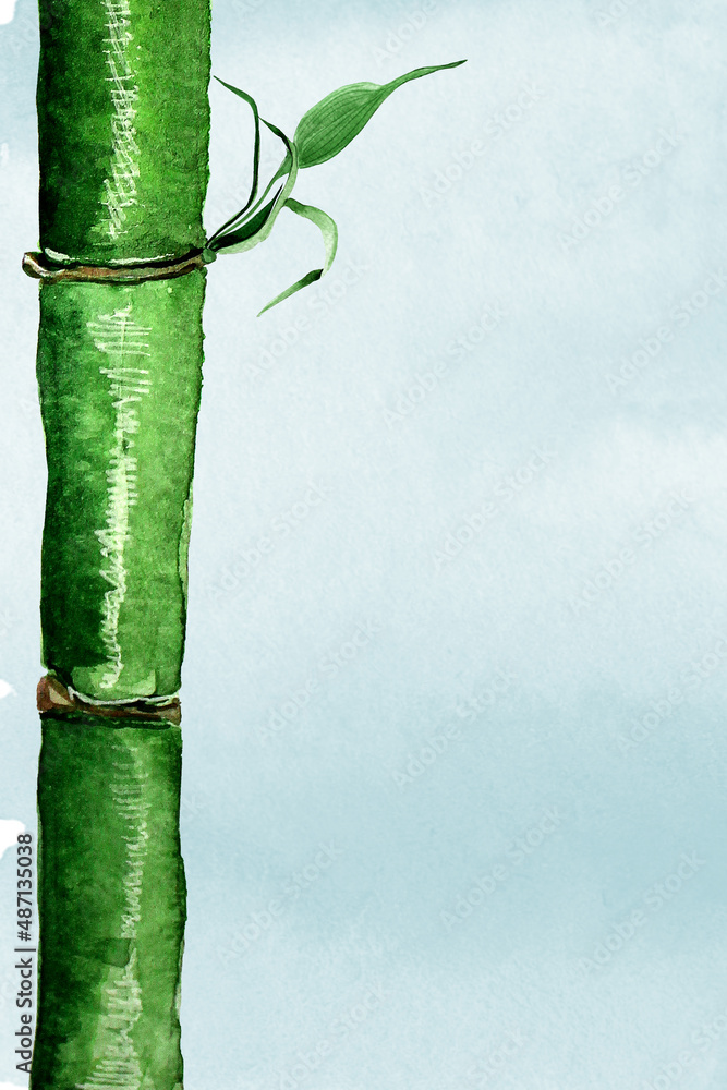 Bamboo backdrop watercolor green background. Template for decorating ...