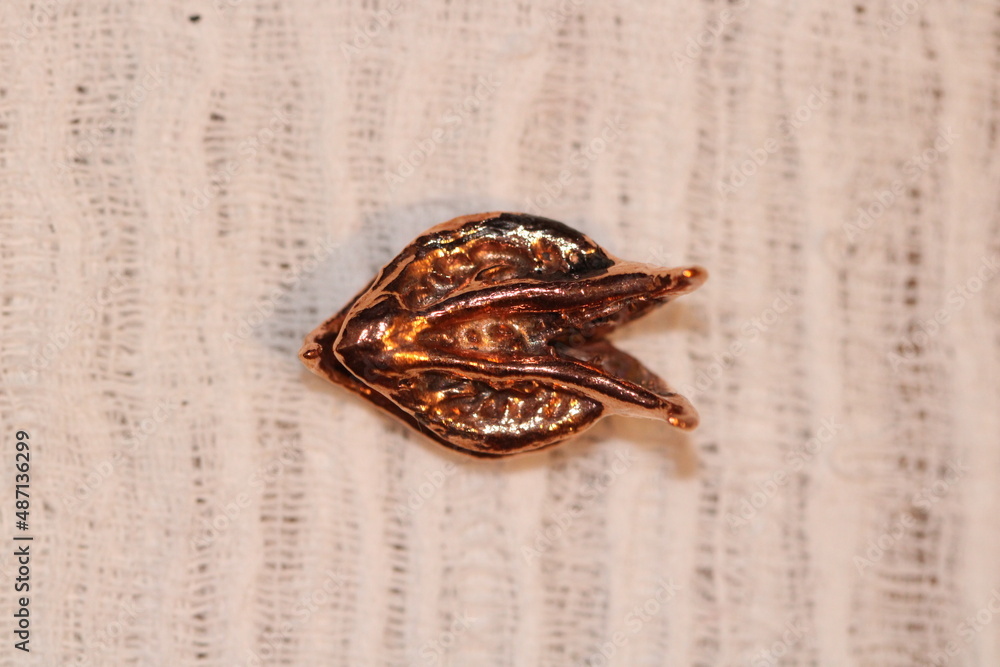 electroformado en cobre de semilla de planta en forma de garra o ...