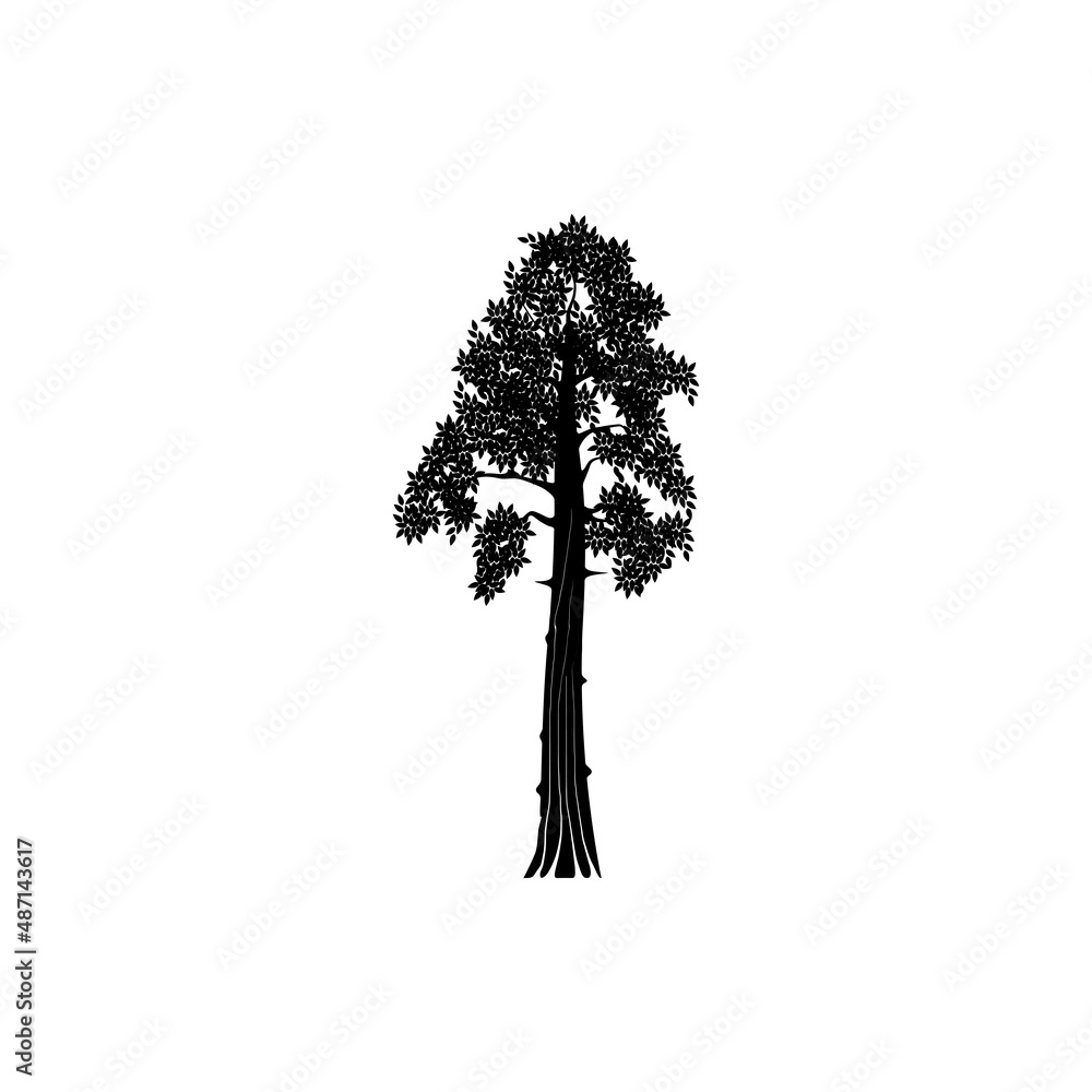 Sequoia icon isolated on clean background. Sequoia icon concept drawing ...