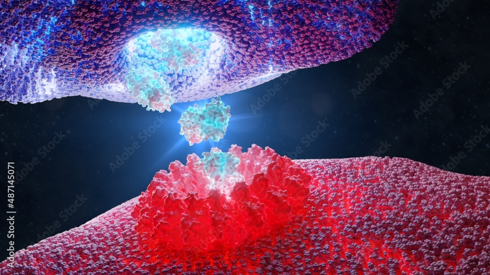 3D Rendering of Molecular Mechanism of T Cell Attack Using Granzyme and ...