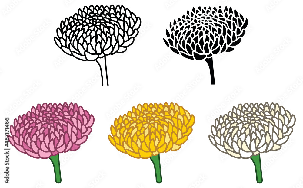 Chrysanthemums / mums Birth Flower Clipart Set - Outline, Silhouette ...
